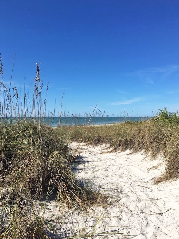 Nature's red carpet: This sandy pathway through sea oats leads to the main attraction—an ocean view worth every step of the journey.