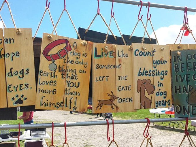 These wooden signs speak the universal language of dog lovers everywhere. My wallet is already reaching for that "count your blessings in dog years" wisdom.