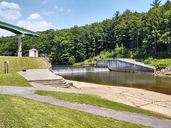 The dam at Walter Dick Memorial Park offers a peaceful respite where locals gather to fish, picnic, or simply watch the water flow by.