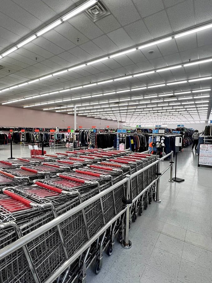 Shopping cart armada standing at attention, ready for thrifty commanders to navigate the vast seas of merchandise.