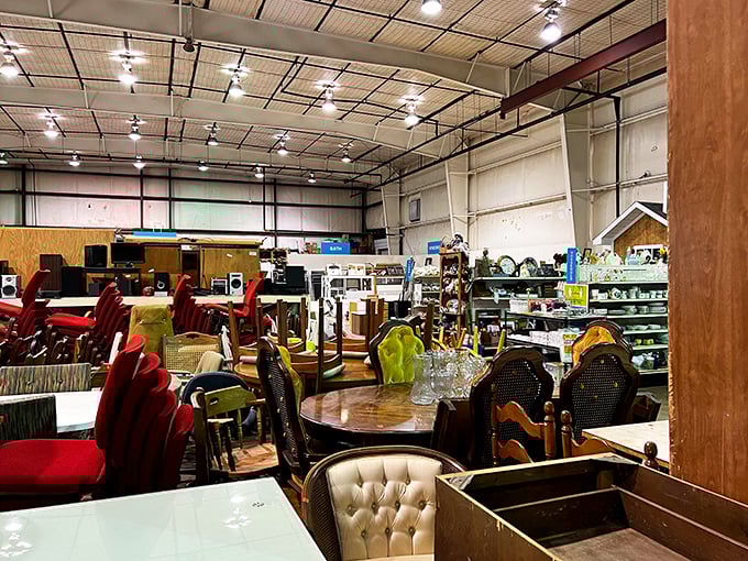 Step into organized chaos where furniture finds its second act in life's grand performance.