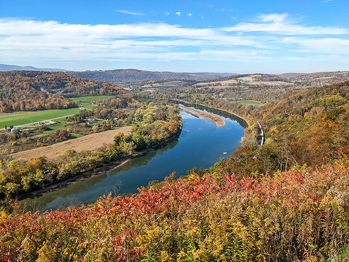 Blue ribbon of river cutting through golden fields and forest—nature's perfect composition that no Instagram filter could possibly improve.