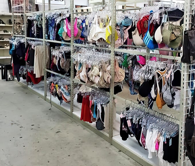 Undergarments organized with military precision—because even thrift store shopping deserves dignity. Marie Kondo would approve of this lingerie lineup.
