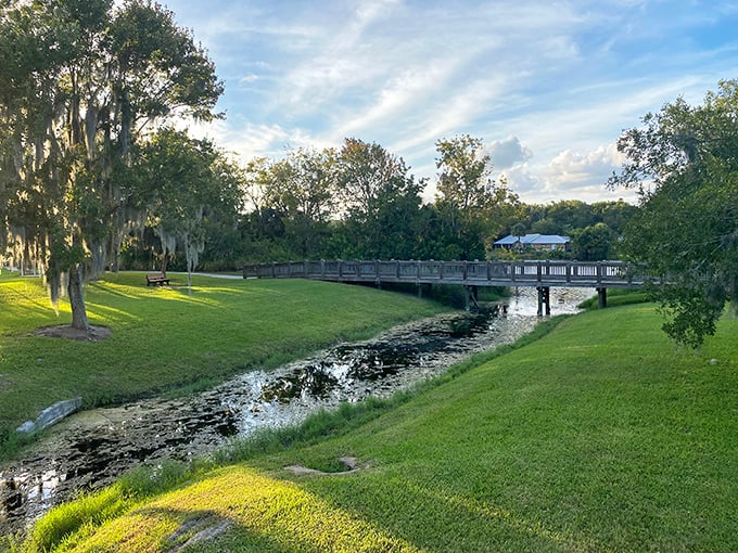 Nature's perfect meditation spot: a wooden bridge arching over tranquil waters, where Spanish moss dangles like nature's wind chimes.