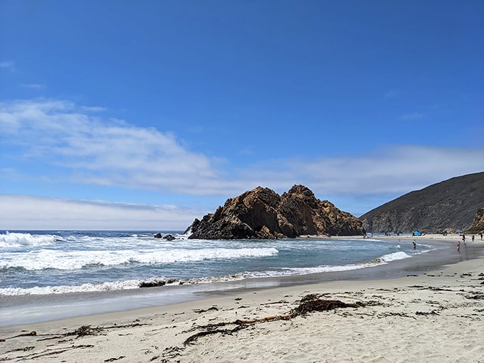 Where the mountains bow to meet the sea. Pfeiffer's expansive shoreline offers a front-row seat to nature's grandest performance.