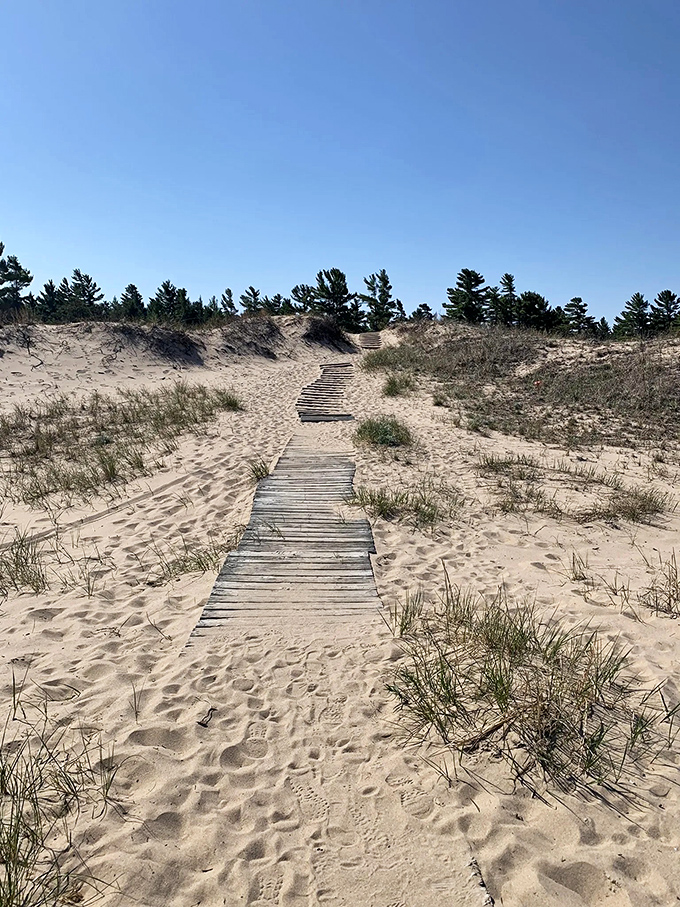 The wooden boardwalk beckons like a runway to paradise, guiding visitors through fragile dune ecosystems to Lake Michigan's pristine shore.