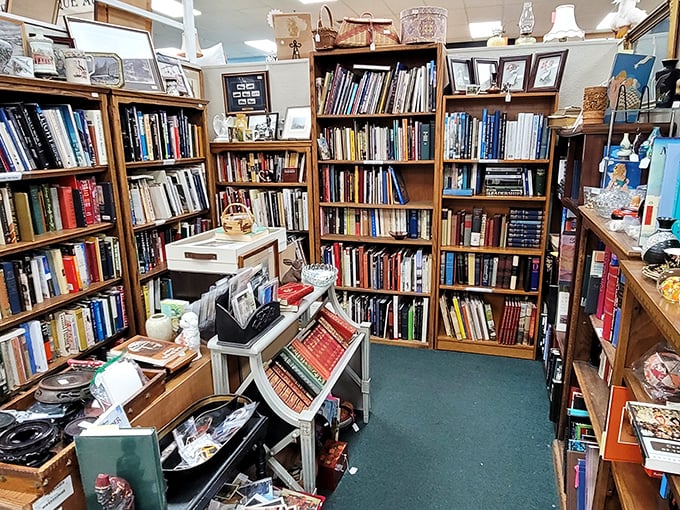 For bibliophiles, this literary corner is dangerous territory—you'll arrive for one book and leave with an impromptu library.