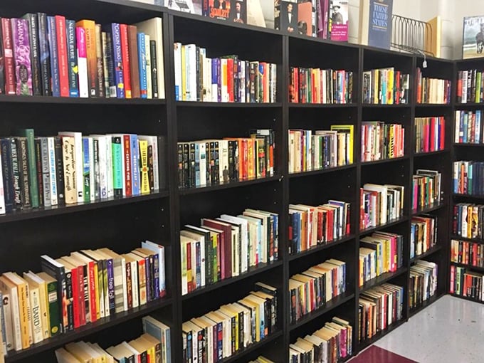 A bibliophile's dream landscape. These shelves hold worlds within worlds, adventures waiting for just a few dollars.