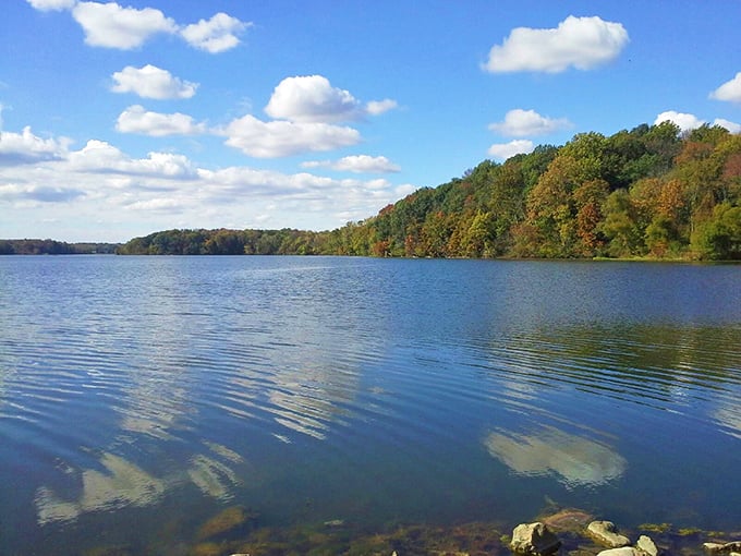 Fall foliage reflected in waters so still, you'd think nature pressed pause just for your viewing pleasure.