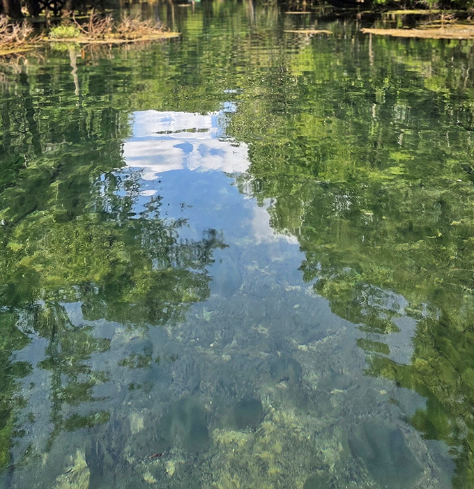 Mother Nature's mirror reflects the sky above, while revealing a underwater world below. Florida's springs offer windows into another dimension.