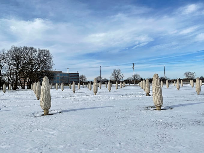 Winter transforms the Field of Corn into something magical—like frozen vegetable astronauts waiting patiently on a snow-covered launchpad.