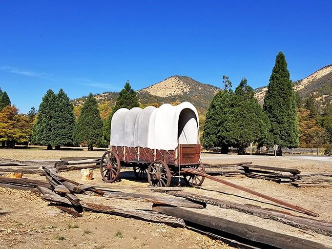 Oregon Trail without the dysentery! This replica covered wagon reminds us that our camping complaints are nothing compared to pioneer problems.