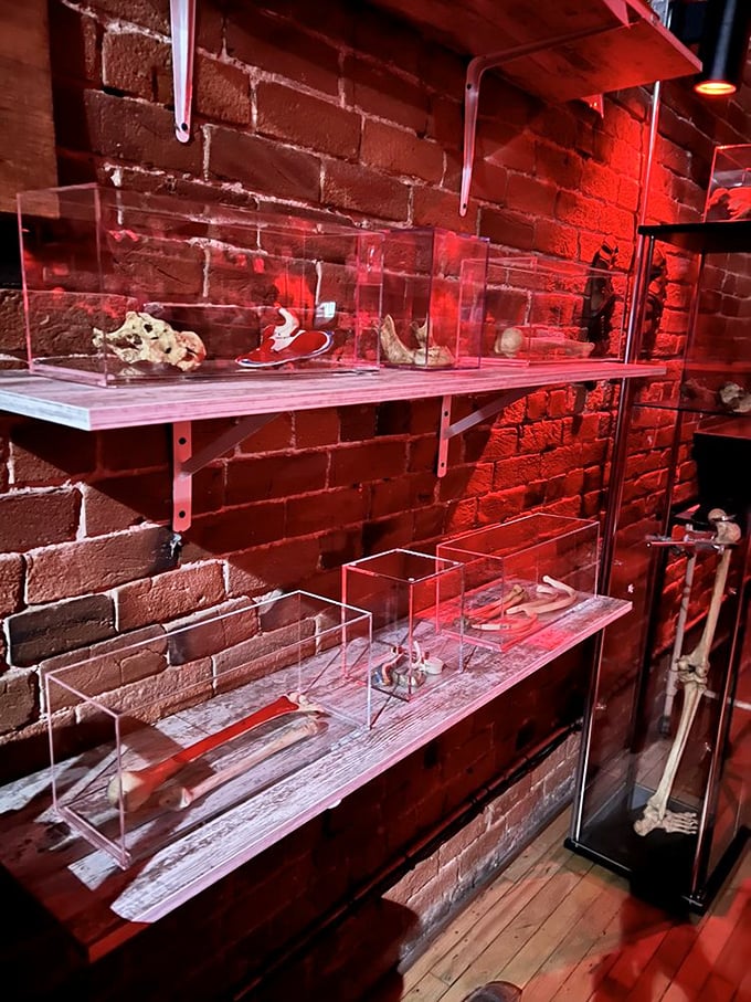 Behind these glass cases lie objects with stories darker than the red-tinted lighting. Each item waits patiently for someone to hear its tale.