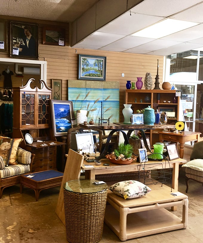 Mid-century meets modern in this carefully curated furniture section. One shopper's castoff becomes another's conversation piece—that's thrift store magic.