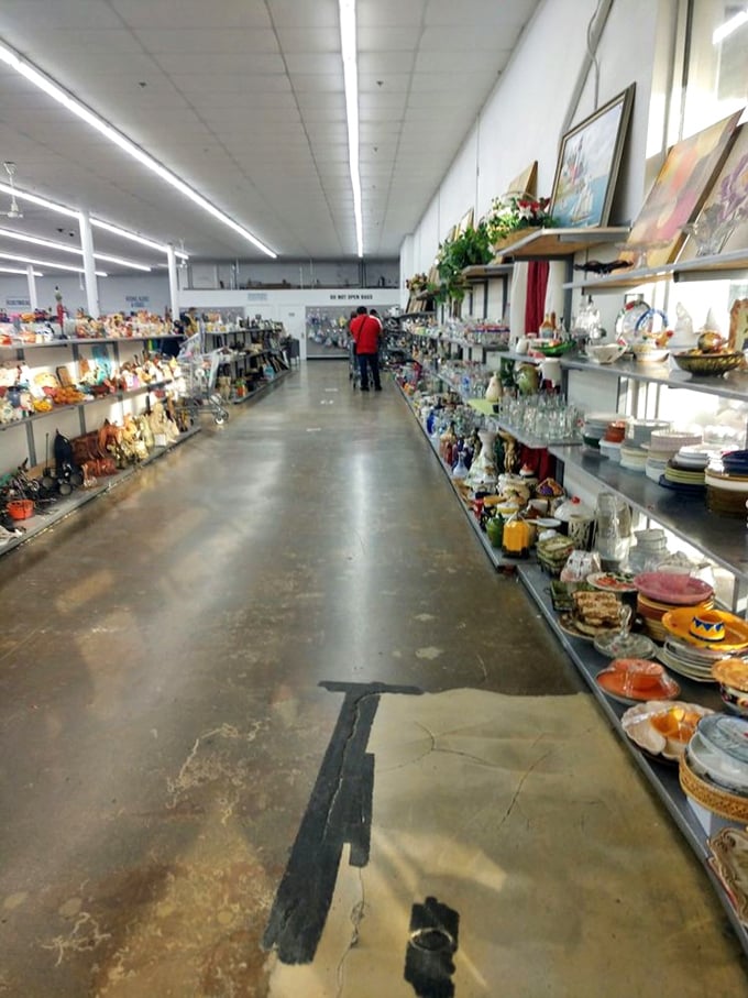 Aisles that stretch toward infinity, where one person's castoffs become another's must-haves. The thrill of the hunt begins here.