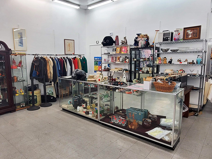 Every shelf tells a story in this corner of collectibles. That vintage camera might have captured someone's honeymoon; that vase could complete your mantelpiece.