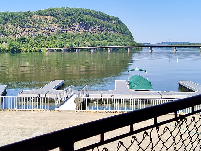 The marina's floating docks invite both seasoned captains and nervous first-timers to dip their toes into river adventures.