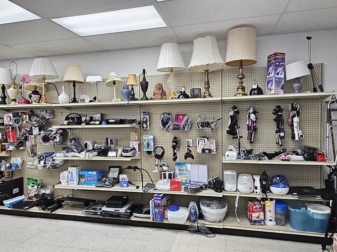 Electronics galore line the shelves like a tech lover's dream come true paradise.