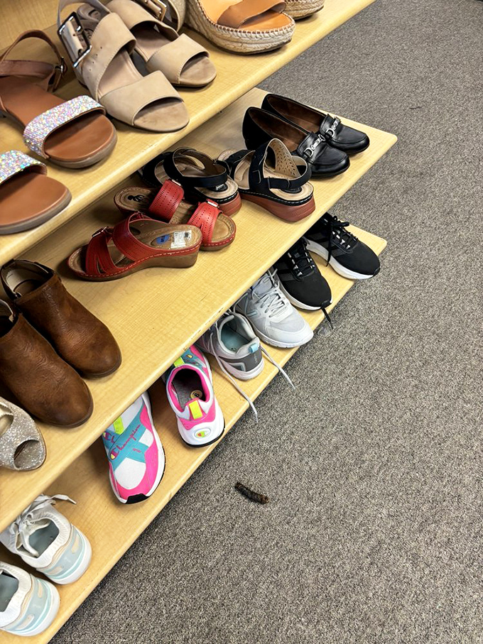 A lineup of footwear with stories to tell—from barely-worn designer loafers to colorful sneakers just waiting for their second chance at adventure.