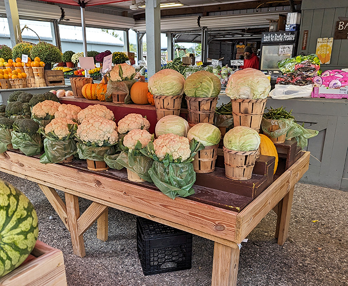 Farm-to-table isn't just a restaurant trend here. These vibrant cabbages and cauliflower were likely in the ground yesterday, on your dinner table tonight.