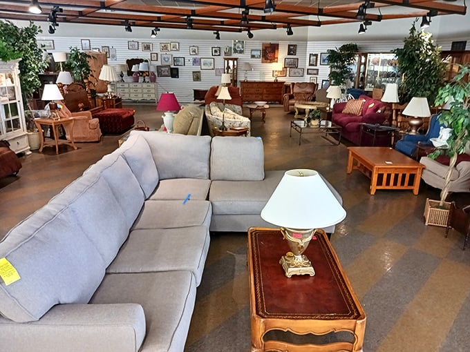 The furniture section resembles a living room museum spanning decades—that blue sectional is practically begging for a Netflix marathon.