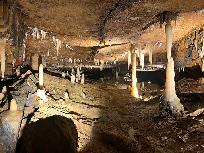A cathedral of calcium deposits hangs from the ceiling like nature's own chandelier collection, each one crafted over thousands of patient years.