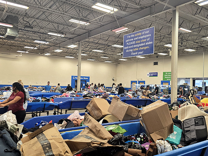 The retail equivalent of the Serengeti Plain – vast, wild, and teeming with potential discoveries. Those blue bins contain multitudes.