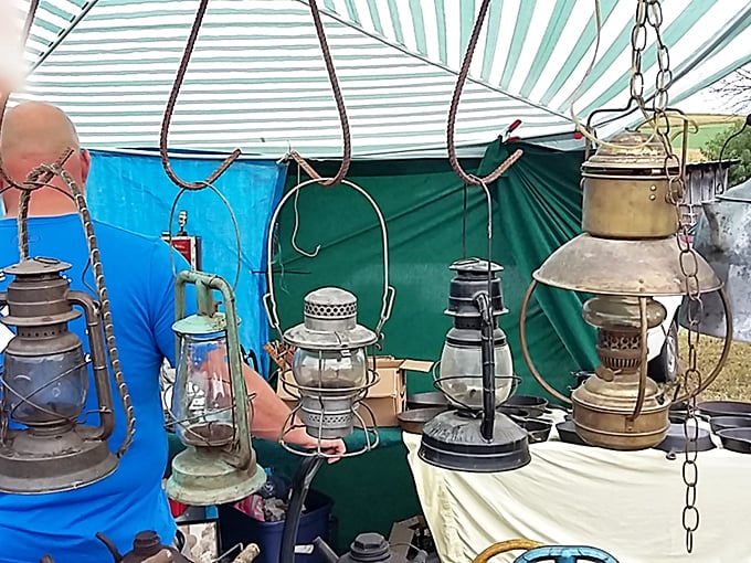These vintage oil lamps aren't just antiques—they're storytellers from an era when "power outage" meant reaching for matches instead of complaining on Twitter.