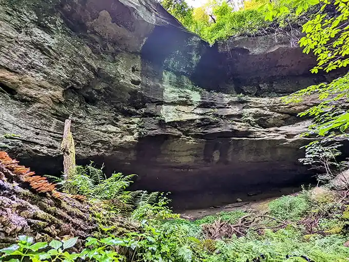Nature's cathedral! This impressive rock shelter has been hosting visitors since long before selfies were invented.