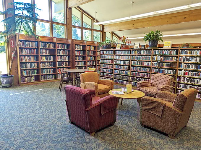 The local library offers comfy chairs with million-dollar views. Somehow, checking out books feels like checking into paradise.