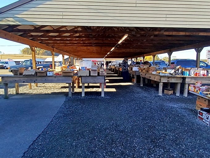 The covered pavilions offer shelter from both scorching sun and sudden showers—because treasure hunting waits for no weather.