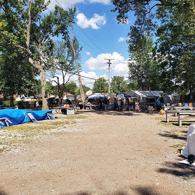 Nature provides the perfect canopy for this rustic marketplace. Dappled sunlight filters through trees onto pathways leading to unexpected discoveries.