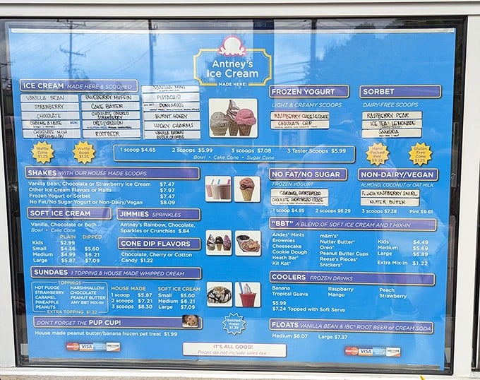 The menu board—a roadmap to bliss—showcases everything from classic scoops to dairy-free options and that adorable Pup Cup for four-legged friends.