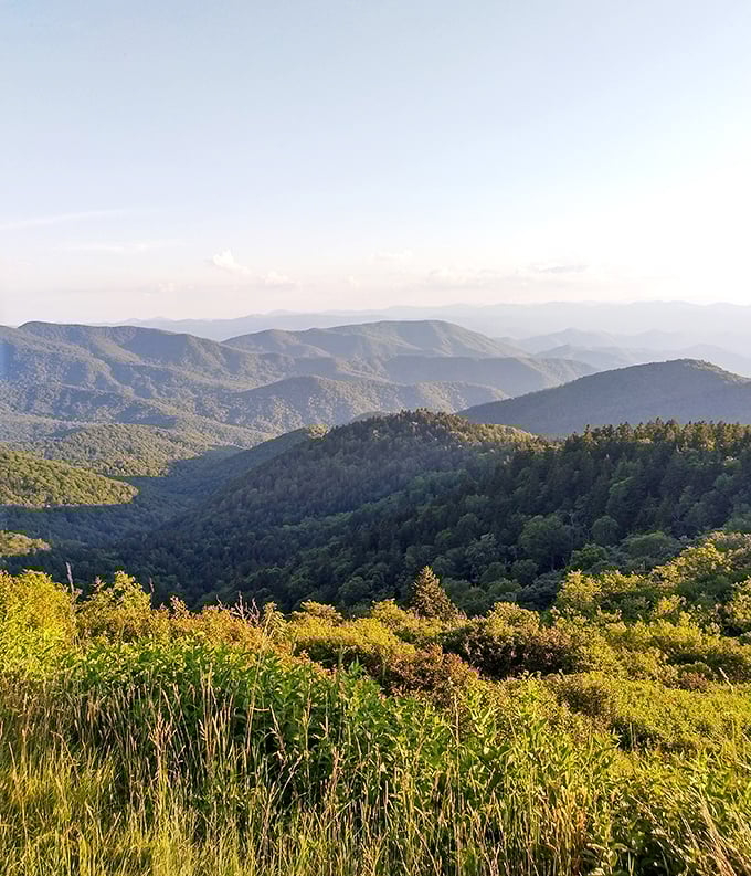Those aren't wrinkles in the Earth's surface—they're smile lines from millions of years of geological joy. The afternoon light makes every ridge pop.
