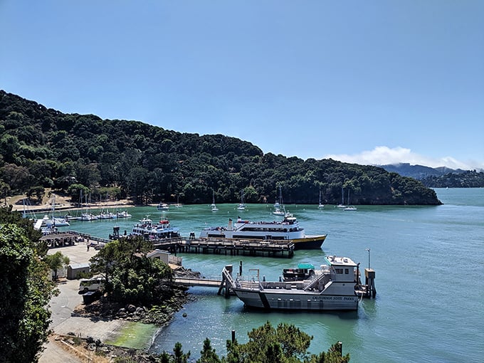 The ferry dock bustles with activity – your gateway to adventure and the moment when city stress visibly evaporates from arriving passengers.