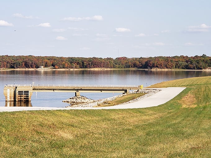 Where engineering meets serenity—this causeway offers both practical passage and picture-perfect views across Long Branch Lake's expansive waters.