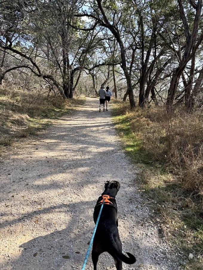 Four-legged explorers welcome! This shaded trail offers the perfect adventure for you and your canine companion to discover Texas wilderness together.