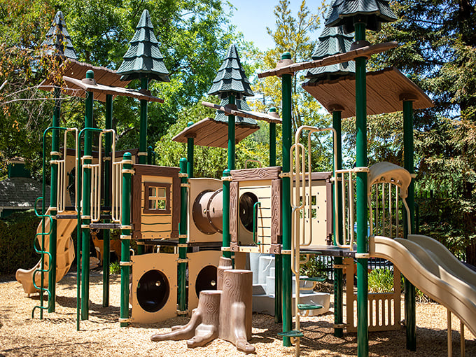 Sherwood Forest comes to Sacramento with this enchanted playground. Even adults might be tempted to test those slides—don't worry, we won't tell.