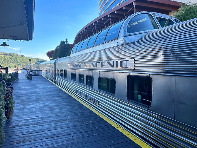 Gleaming stainless steel with a dome that promises panoramic views – this isn't just transportation, it's time travel with better legroom.