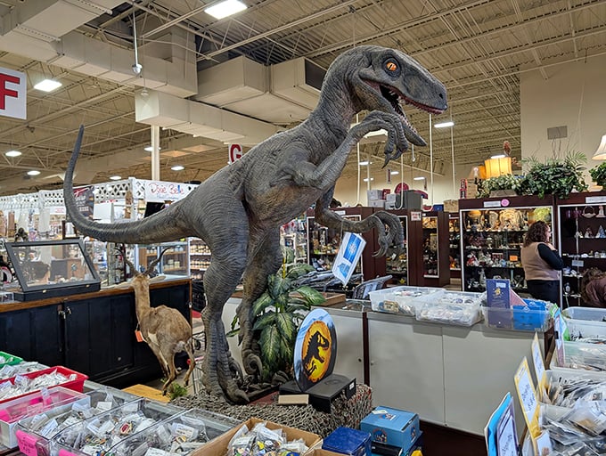 "Clever girl!" This life-sized velociraptor guards vintage treasures with prehistoric intensity. Jurassic Park meets American Pickers in this corner of the mall that spared no expense.