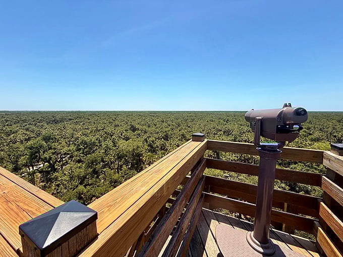 From the observation tower, Florida reveals itself as it was before Mickey Mouse moved in—an endless emerald canopy stretching to the horizon.