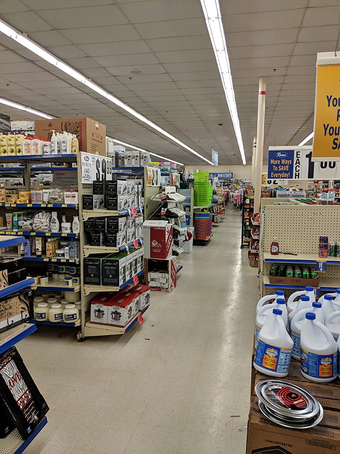 The no-frills approach keeps prices delightfully low. Who needs fancy lighting when you've got $9.99 cleaning supplies and kitchen gadgets?