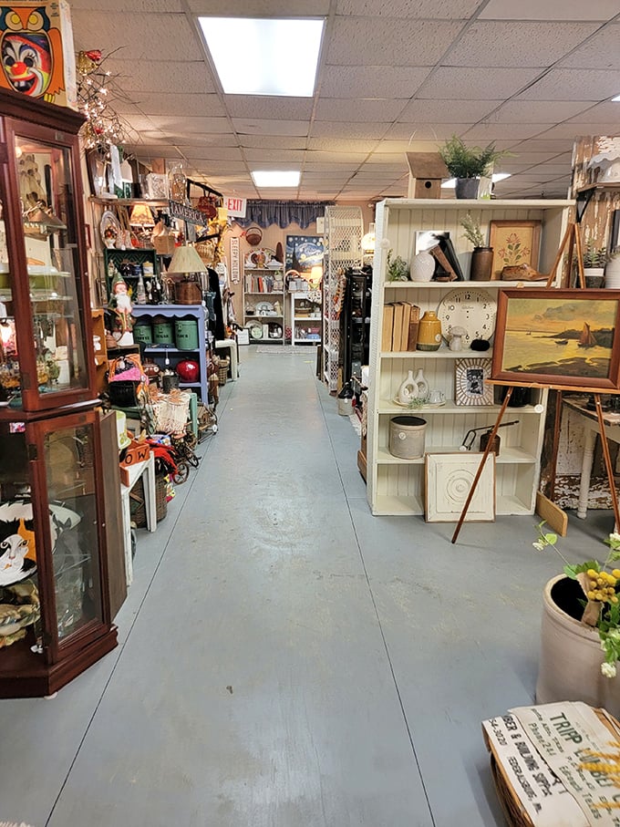 Organized chaos at its finest—where vintage furniture, collectibles, and that perfect something-you-didn't-know-you-needed wait patiently for discovery.