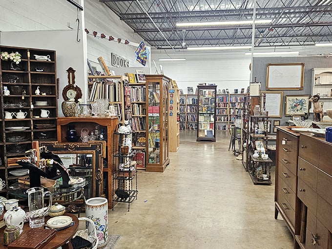 Mannequin heads silently judge your fashion choices while vintage furniture waits to tell stories in your living room.