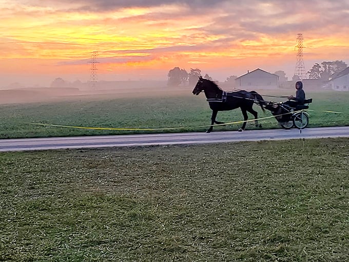 Nature's light show doesn't require tickets. A horse and buggy silhouetted against a Pennsylvania sunrise—better than any Netflix special.
