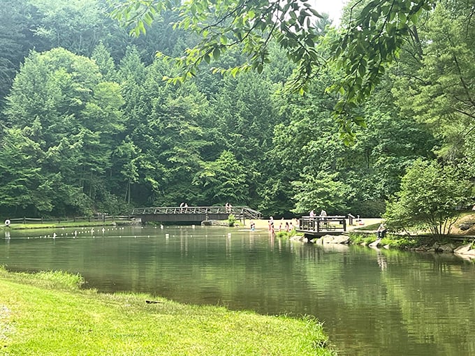 Who needs a crowded resort pool when you've got this? Clear Creek's swimming area offers refreshment without the "excuse me, that's my lounge chair" drama.