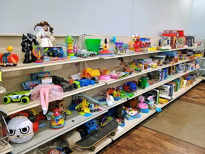 Toy paradise where childhood dreams get their second act. That plush pink flamingo might just be someone's next beloved bedtime companion.