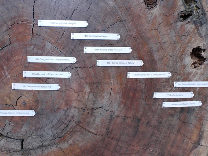 History's timeline etched in concentric circles. Each ring tells a story of California before it was California—some dating back to Charlemagne's reign.