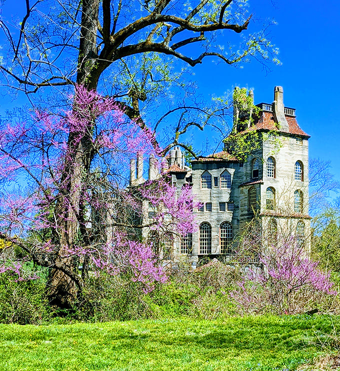 Spring transforms Fonthill into a fairytale vision, with redbud trees framing the castle's stoic silhouette against a perfect Pennsylvania blue sky.