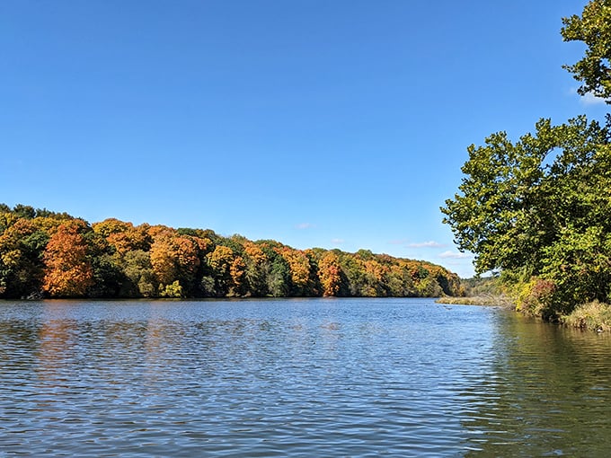 When the lake perfectly mirrors the fall foliage, even your phone's camera starts feeling inadequate. 